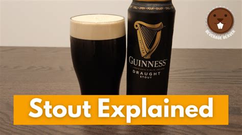Stout Explained An Easy Guide To The Fascinating World Of Stout Beer BeverageBeaver Com