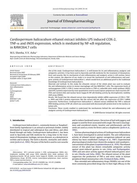 PDF Cardiospermum halicacabum ethanol extract inhibits LPS induced COX TNF α and iNOS