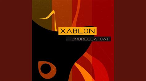 Black Cat Youtube