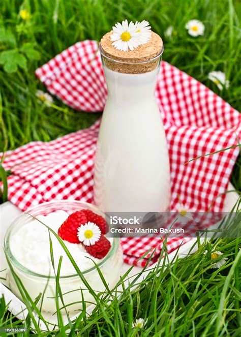 Sebotol Susu Dan Keju Cottage Dalam Toples Buah Maoini Di Rumput Hijau