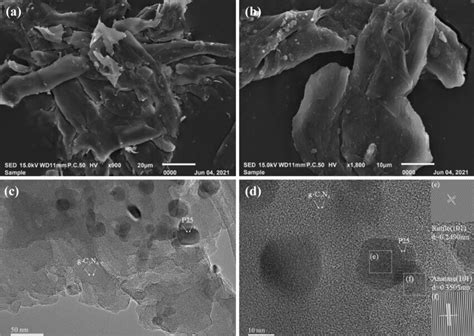 A SEM Image Of G C3N4 SEM Image B And TEM Image C And D Of PCNS Download Scientific Diagram