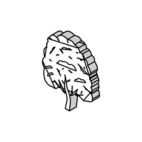 Neem Tree Jungle Amazon Isometric Icon Vector Illustration 39303712