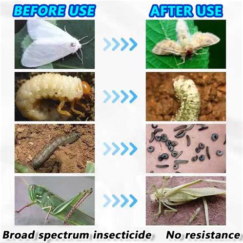 500ml Vegetable Insecticide Spray Plantsinsect Vegetable Doctor Organic Pesticide Insecticide