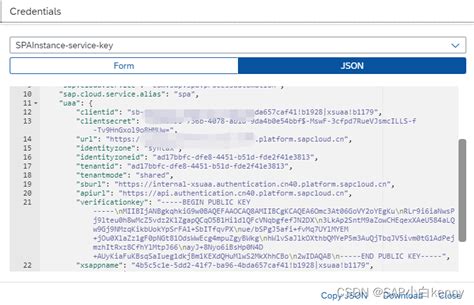 Btp 使用spa开发工作流sap Btp Demo Csdn博客