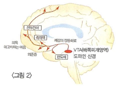 과식에서 벗어나기 참을 수 없는 열망 배고픔과 과식Ⅰ 네이버 블로그