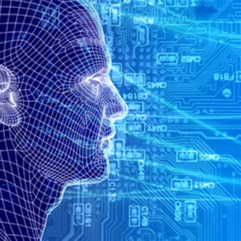 Erfan Shafiei Research Profile