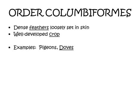 Ppt Bird Classification Powerpoint Presentation Free Download Id