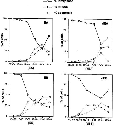 Mitotic Arrest And Apoptosis In Response To Epothilones Graphical