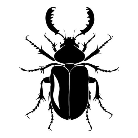 Premium Vector Silhouette Insect Or Bug Full Body Black Color Only