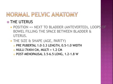 Ultrasound In Gynecology