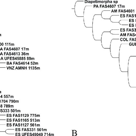 Most Parsimonious Interpretations For The Observed Morphological