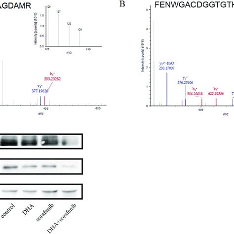 Expression Levels Of Differentially Expressed Proteins In Four