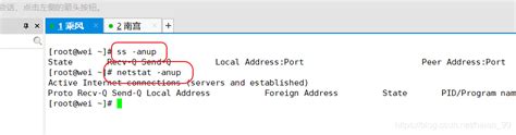 Linux的网络参数设置ss Antp Csdn博客