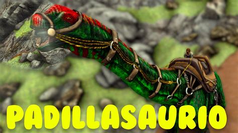 Como Tamear Padillasaurus Y Todas Sus Habilidades Ark Additional