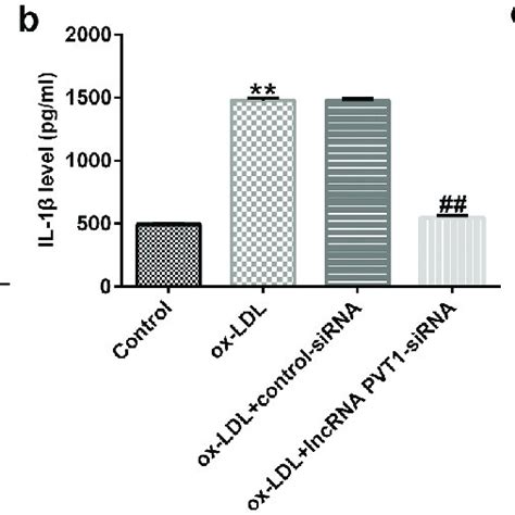 Inhibition Of Pvt1 Suppressed Inflammatory Responses In Download