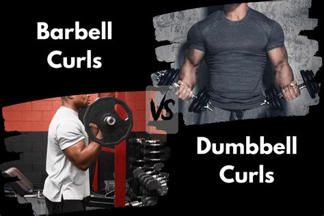 Barbell Curl Vs Dumbbell Curl Which One Is Better Horton Barbell