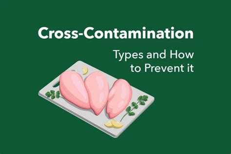 Ready To Eat Foods Examples And 5 Safe Handling Tips Foodsafepal®