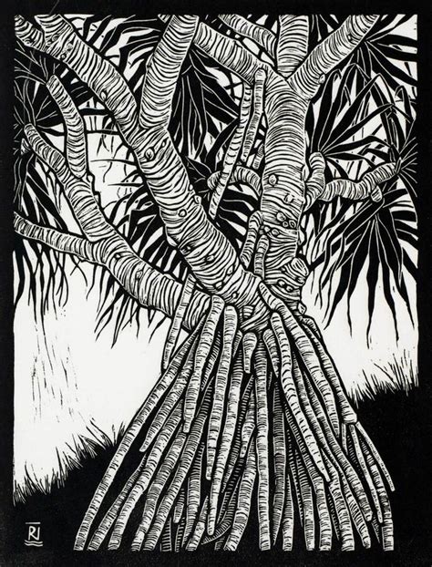 21 Best Pandanus Images On Pinterest Limited Edition Prints Tea Tree