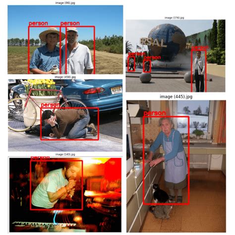 Using Custom Backbone For PyTorch SSD For Object Detection