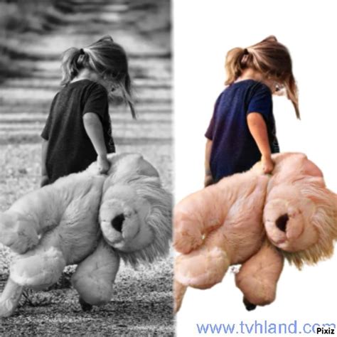 Remove Back Ground Free Photo On Pixabay Pixabay