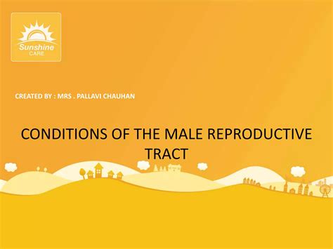 Male Reproductive System Ppt
