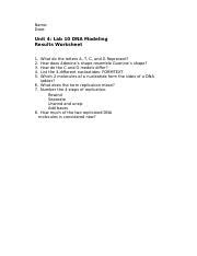 DNA Modeling Lab Worksheet Doc Name Date Unit Lab DNA Modeling Results Worksheet
