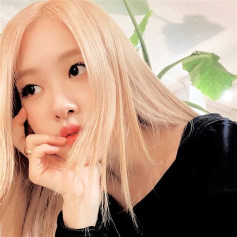 Blackpink Rose Icons Rose Roséanne Park Park Chaeyoung Rose