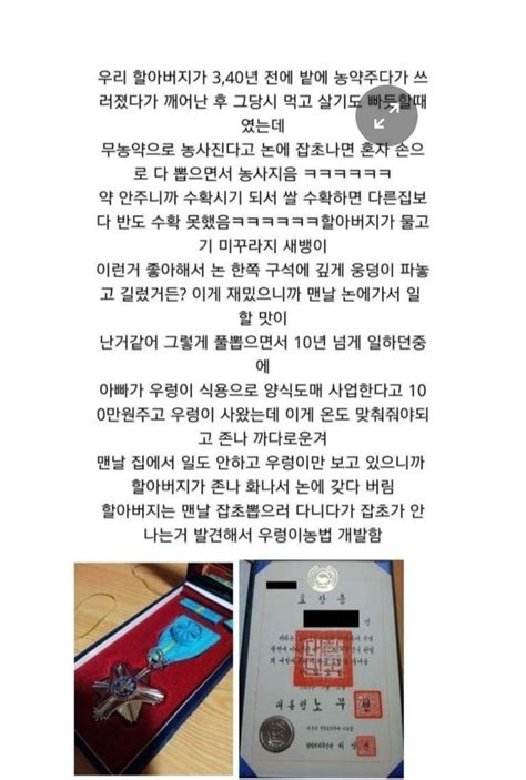 될놈될 할아버지 레전드 웃긴 밈 유머 웃긴