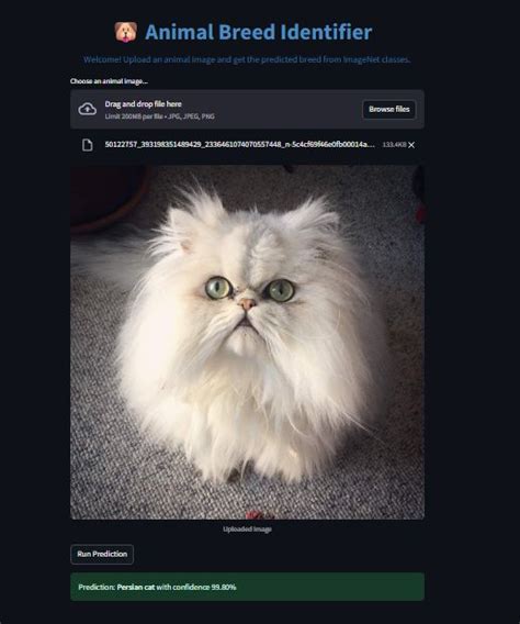 Deeplearning Pytorch Machinelearning Streamlit Webapp Ai Rahim Baig Mohammed