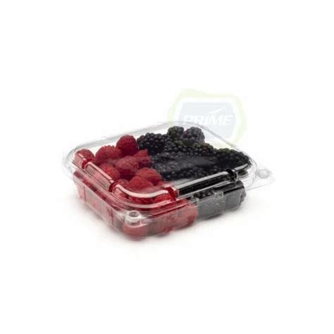 Plastic Punnets For Berries Rectangular At ₹ 4 35 Piece In Daman Id
