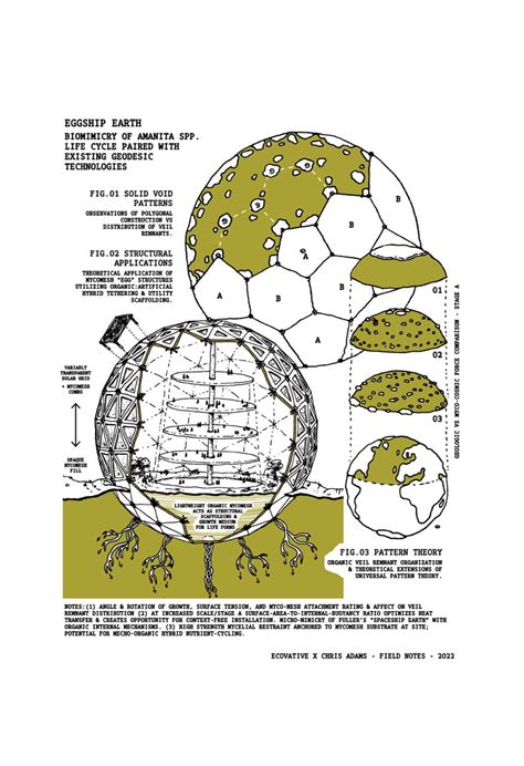 Ecovative Mycelium Technology Sustainable And Biodegradable Material