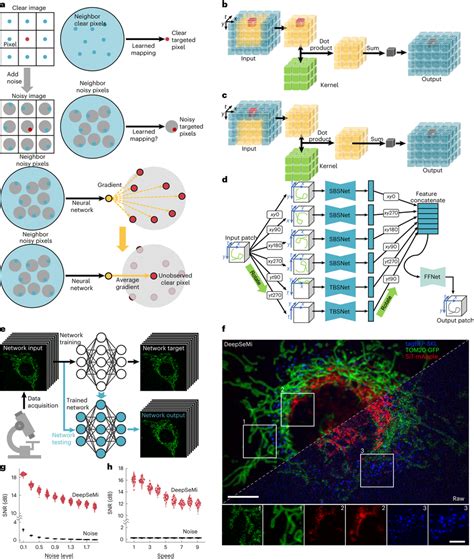 Deepsemi Accomplishes Self Supervised Video Denoising Based On The