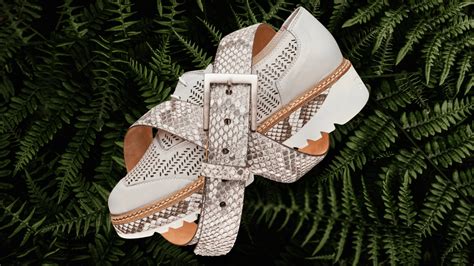 New Pokémon Legends Z A Mega Evolution Leak Has Fans Horrified