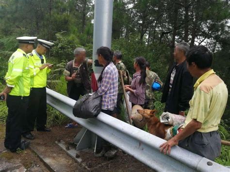 行人上高速？别拿生命走“捷径”！高速公路