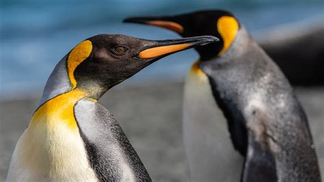 The Linux Booting Process Steps Described In Detail
