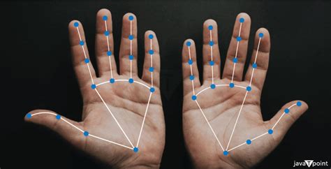 Right And Left Hand Detection Using Python Tpoint Tech