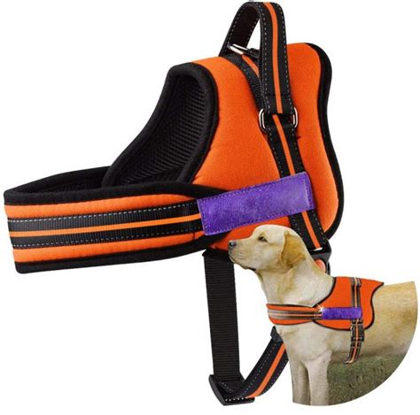 Scratch Resistant Nylon Tracking Harness Large Loading Capacity 8 Sizes