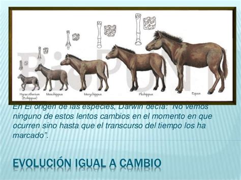 Teoría De La Evolución Por Selección Natural