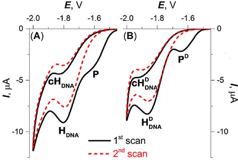 Cyclic Voltammograms Of 20 μg Ml Ssdna At Hmde In The 4‐fold Diluted