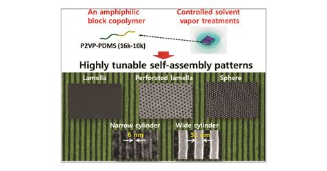 Highly Tunable Self Assembled Nanostructures From A Poly2 Vinylpyridine B Dimethylsiloxane