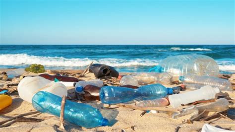 Comment Lutter Efficacement Contre La Pollution Plastique Cwedd
