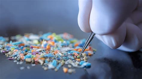 20 Years Of Research Show Escalating Environmental Impact Of Microplastics