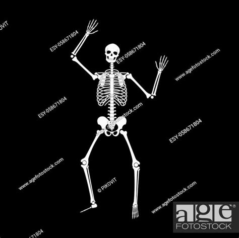 Happy Dancing Skeleton On Halloween Dance And Gymnastics Skeleton Pose