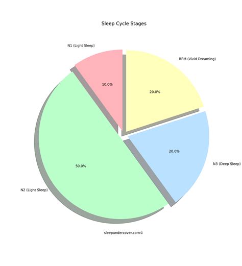 The Science Of Sleep Explained Quick Guide 101