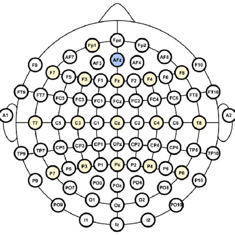 The 10 10 System For Eeg The Recorded Electrodes Are Highlighted In