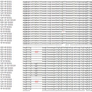 Multi Alignment Of Spike Protein Sequences Selected By Two Deletion