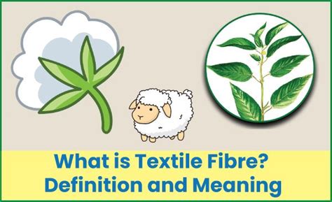 What is Textile Fibre: Definition and Meaning - Textile Apex