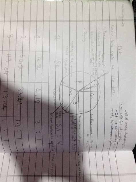 Cell Cycle Notes Arpit142s Blog