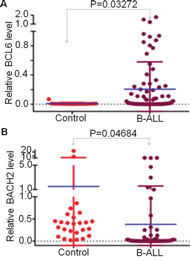 Ikaros Regulation Of The Bcl6 Bach2 Axis And Its Clinical Relevance In
