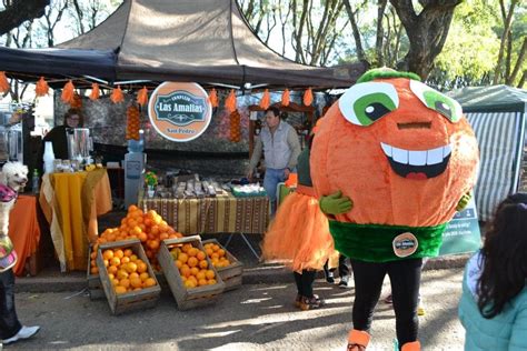 Exitoso Cierre De La Fiesta De La Naranja En San Pedro DataPBA